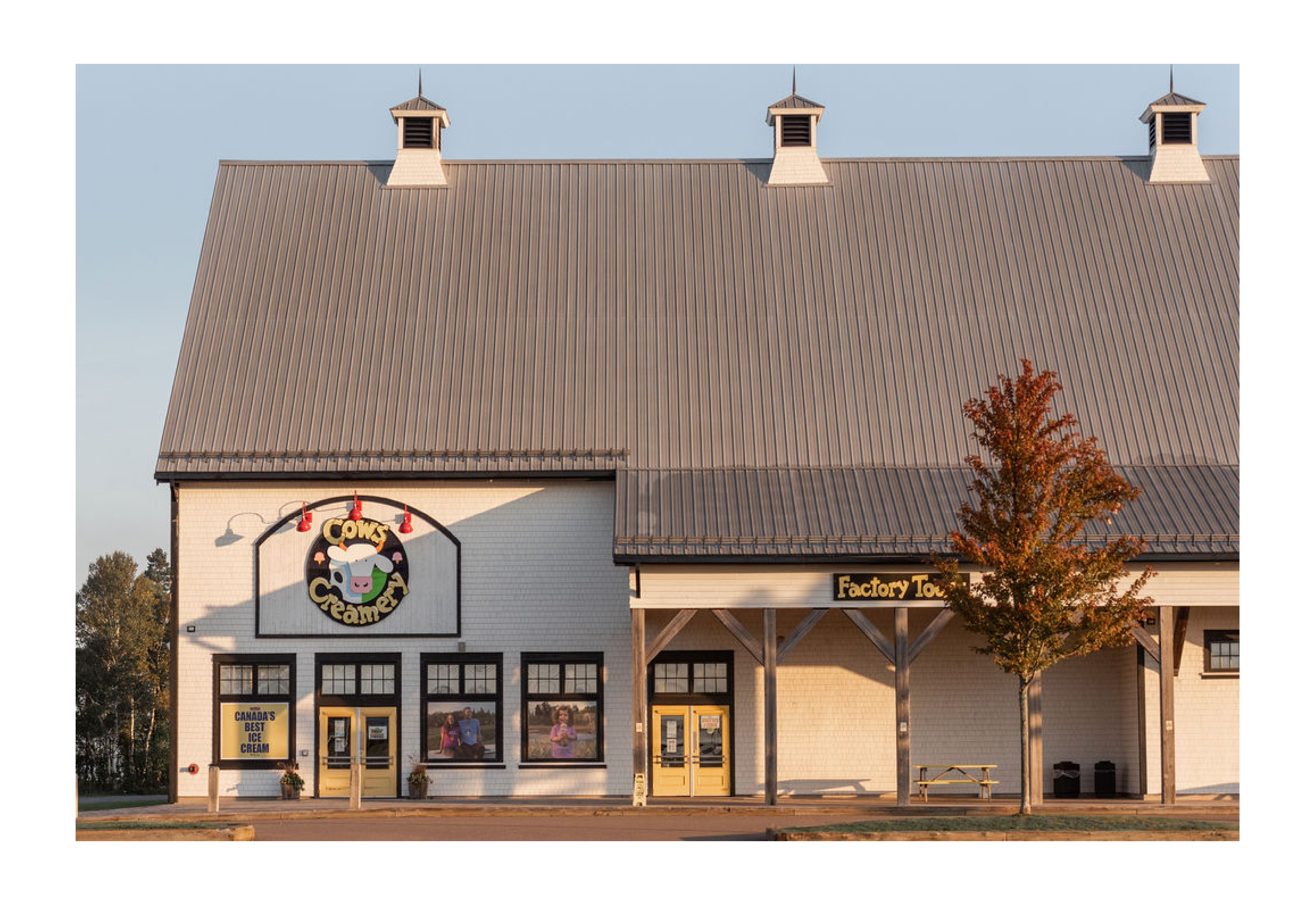 COWS Prince Edward Island - Meet PEI